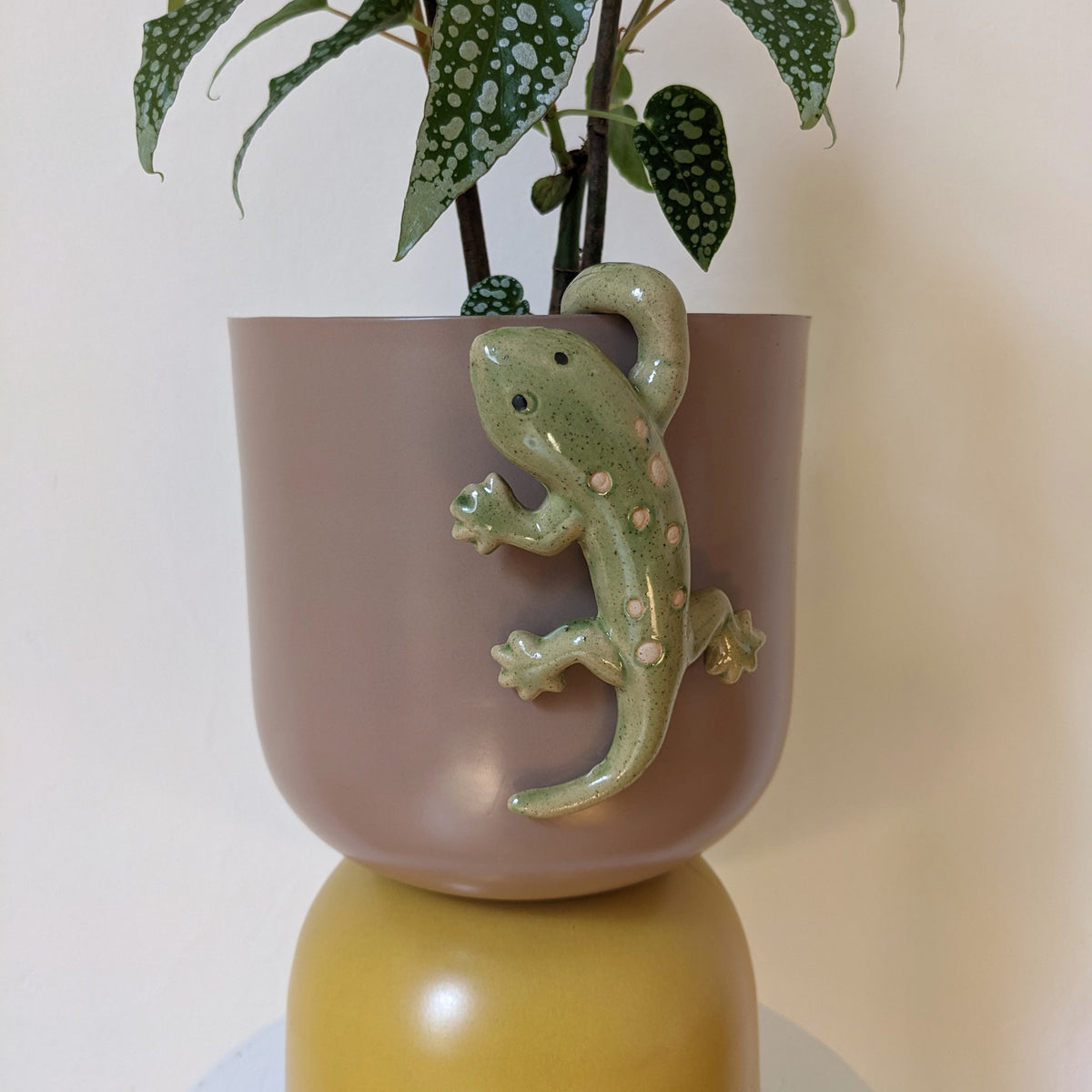 Gecko Pot Hanger | Plantsmith Indoor Plants Melbourne