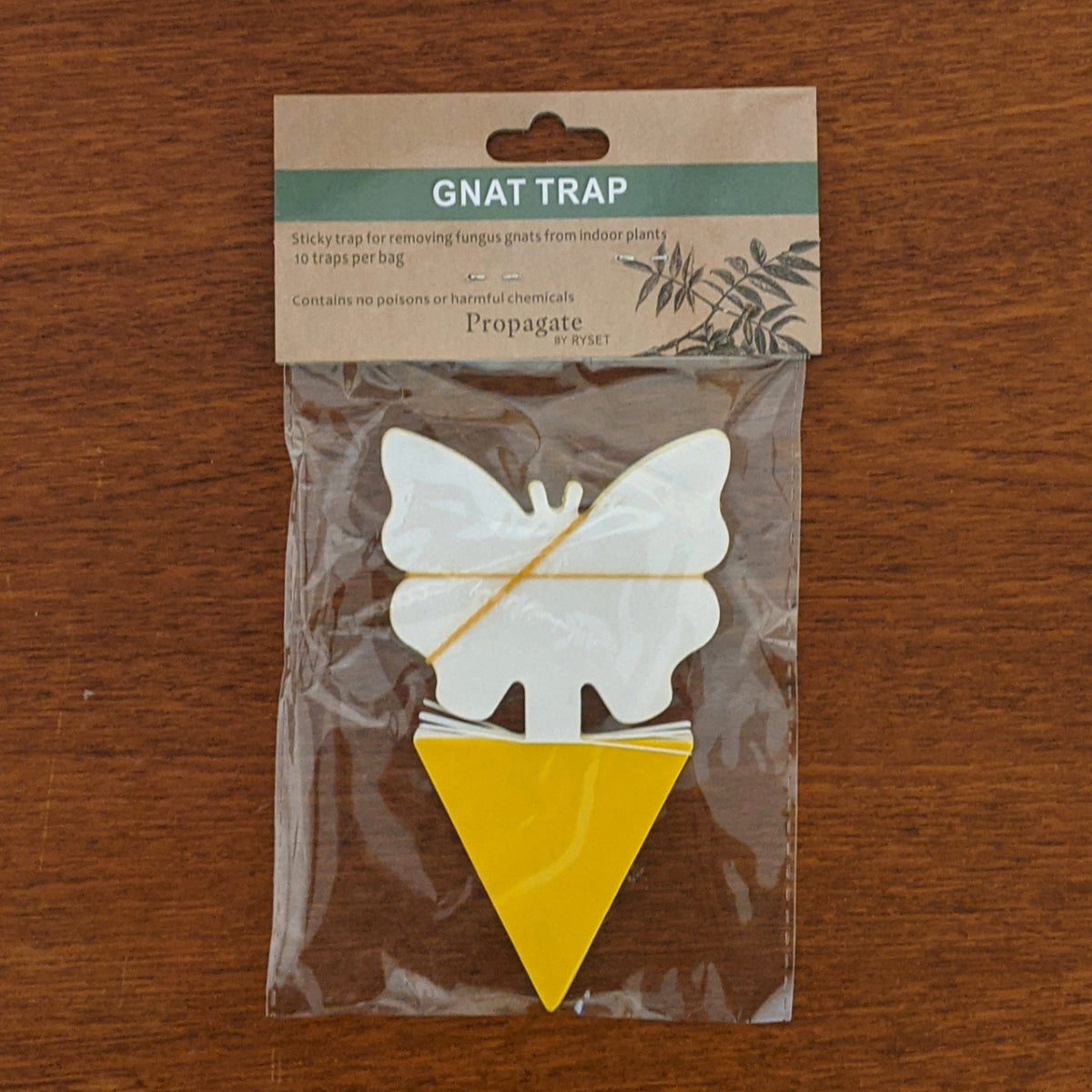 Gnat Traps | Plantsmith Indoor Plants Melbourne