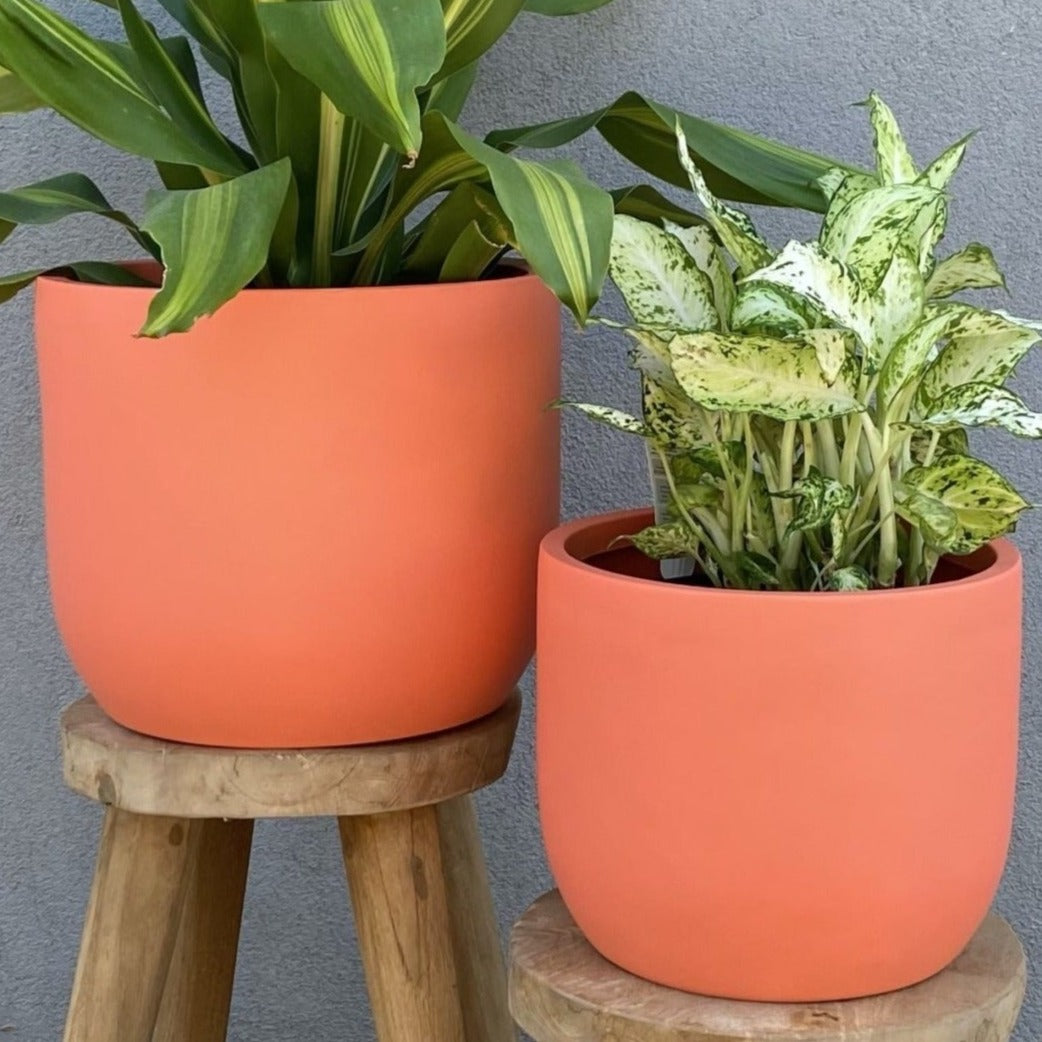 Lightweight Fibreglass Pots - Coral | Plantsmith Indoor Plants Melbourne