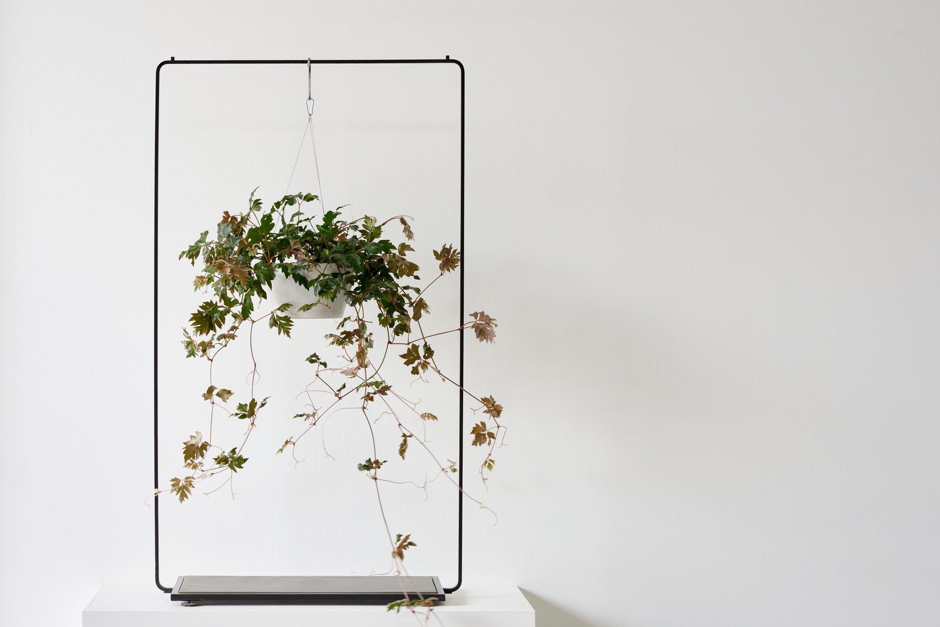 Alison Frith Hanging Planter Raku Blend - Satin White | Plantsmith ...