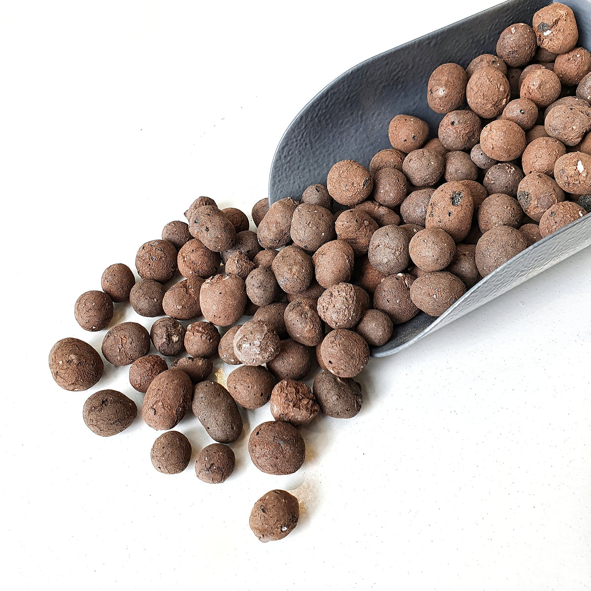 LECA (Lightweight Expanded Clay Aggregate) | Plantsmith Indoor Plants ...