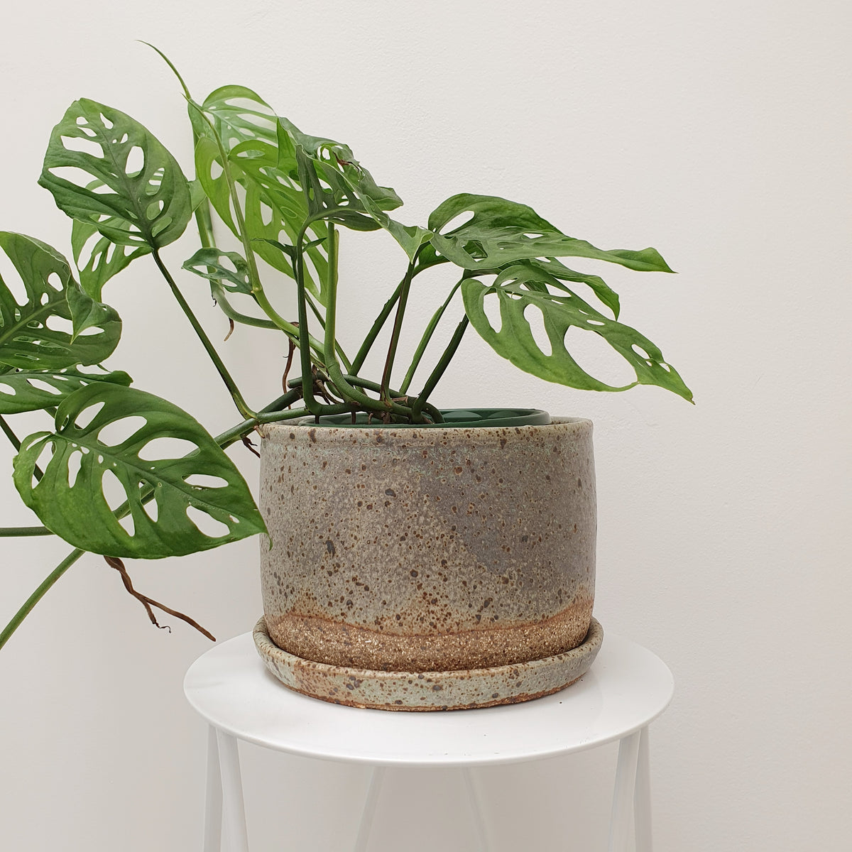 Mark Gambino 'Copper Rust' Planter | Plantsmith Indoor Plants Melbourne