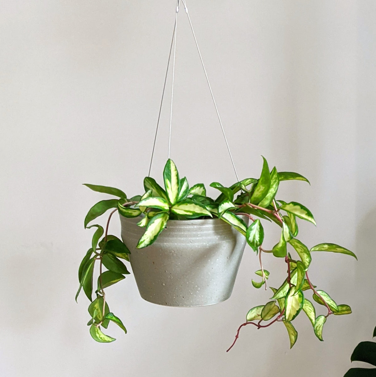 Alison Frith Hanging Planter Raku Blend - Lichen Green | Plantsmith ...