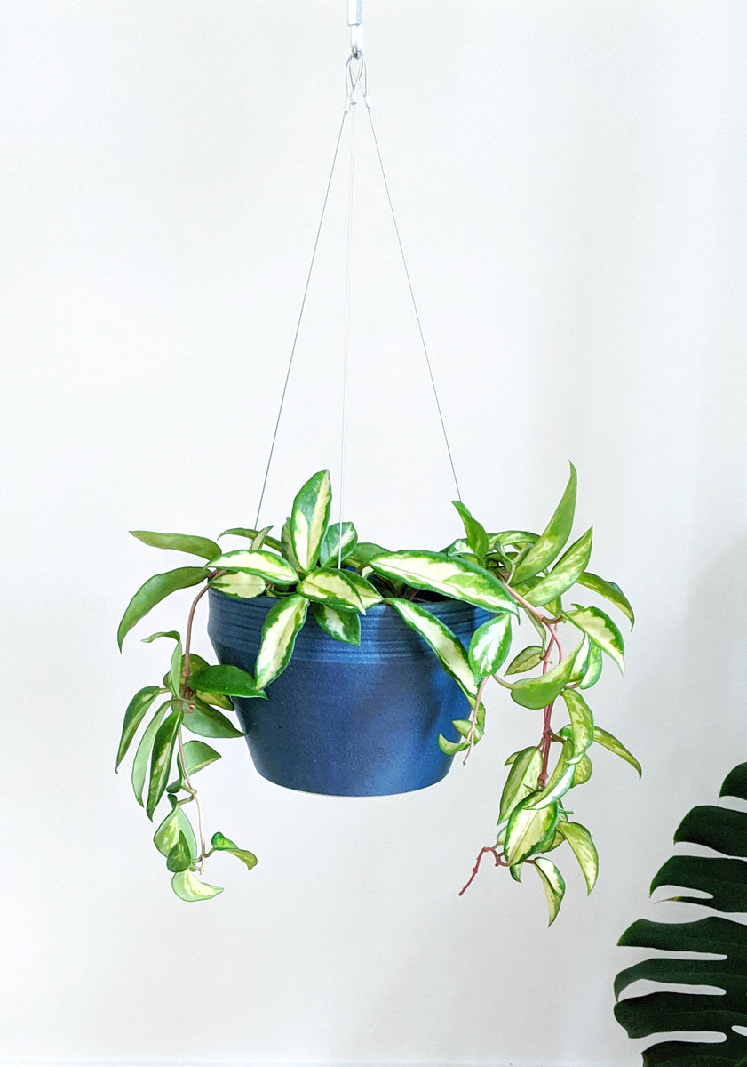Alison Frith Hanging Planter Raku Blend - Shibori Blue | Plantsmith ...