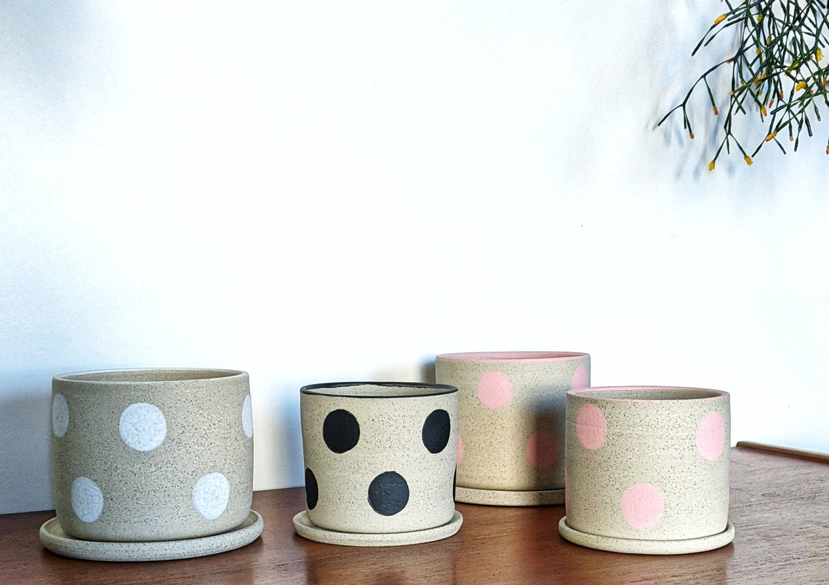 Adele Macer Dotty Planter - Black | Plantsmith Indoor Plants Melbourne