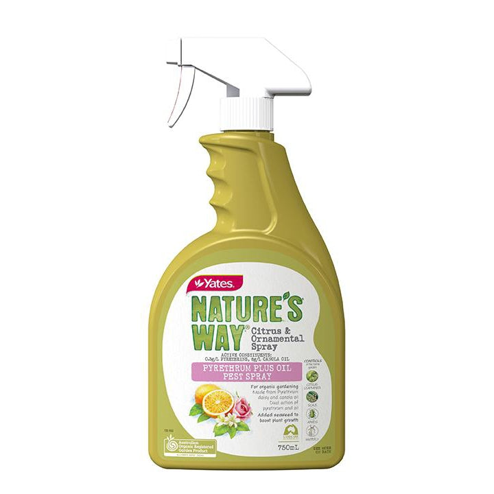 Pyrethrum Plus Oil Pest Spray - Nature’s Way | Plantsmith Indoor Plants ...