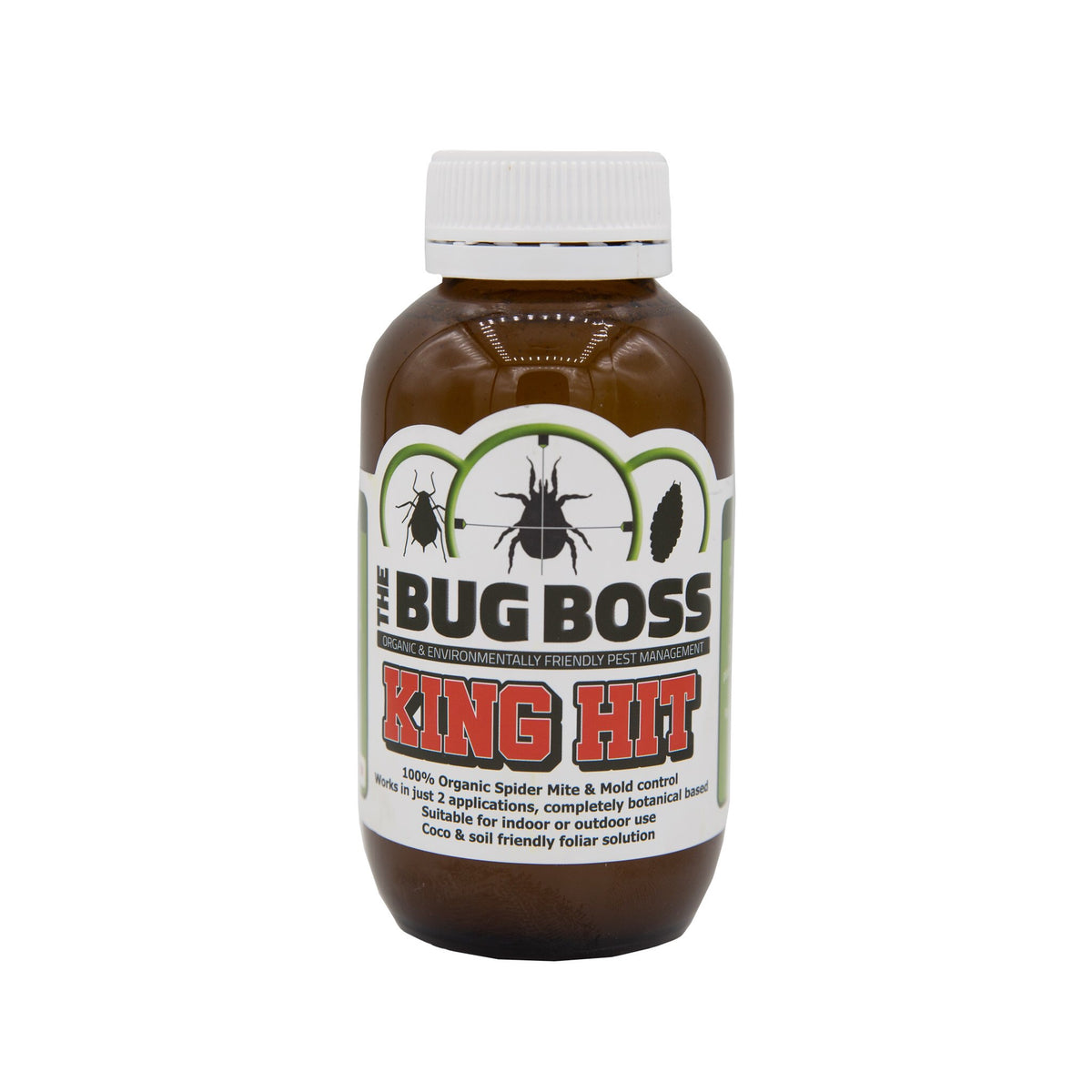 Bug Boss King Hit | Plantsmith Indoor Plants Melbourne