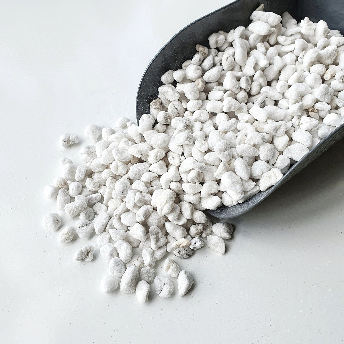 Premium Perlite (Coarse Grade) | Plantsmith Indoor Plants Melbourne