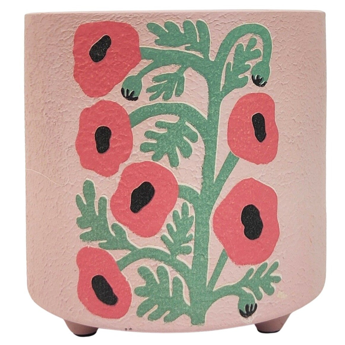 Poppy Planter | Plantsmith Indoor Plants Melbourne